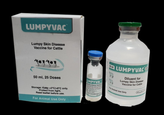LUMPYVAC | Gia súc lớn